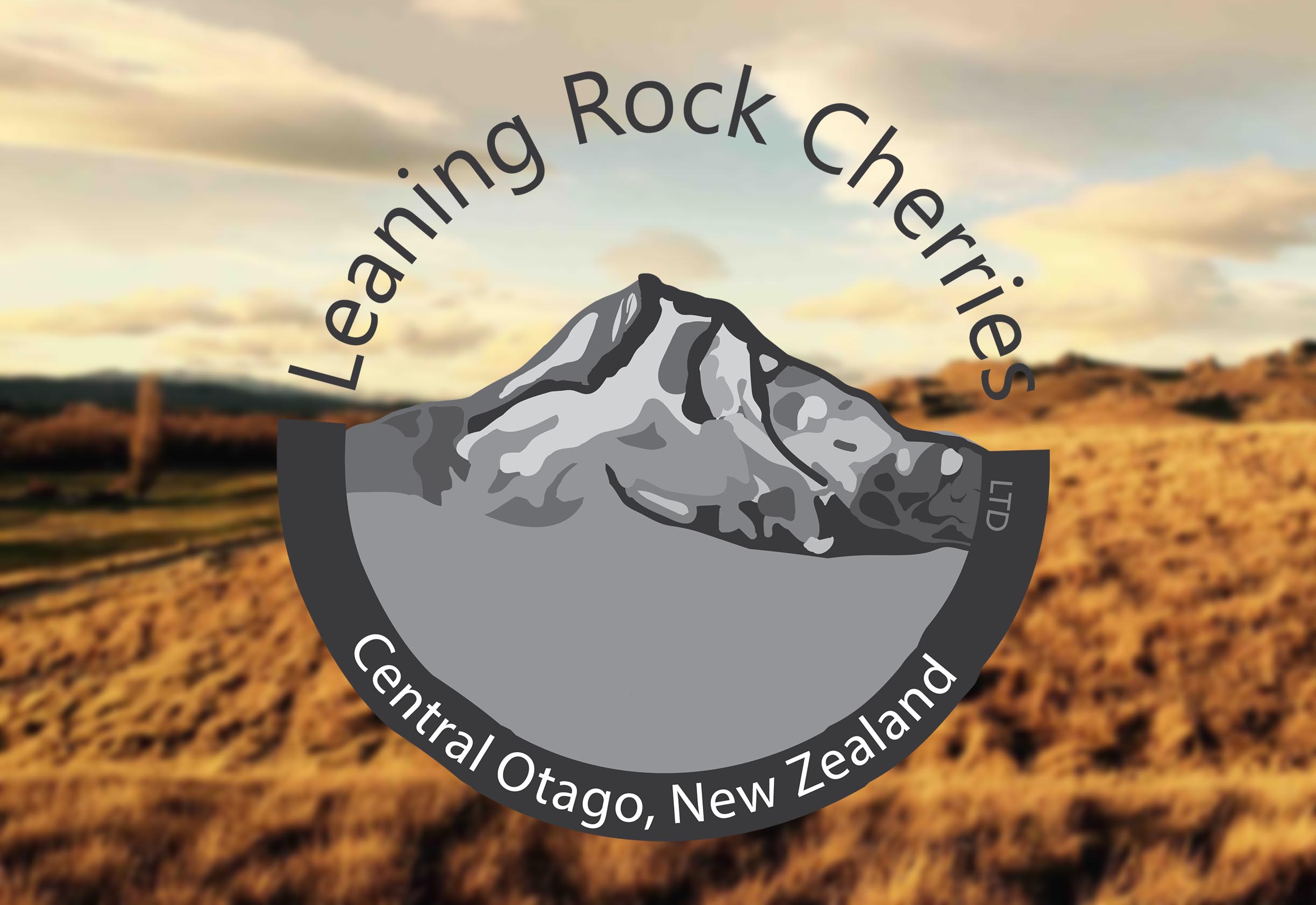 Leaning Rock Cherries | Central Otago | Premium Cherries